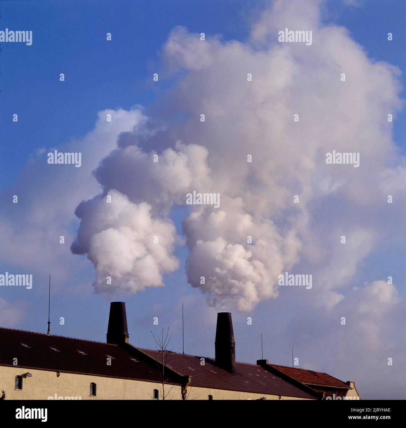 Environmental impact of smoking hi-res stock photography and images - Alamy
