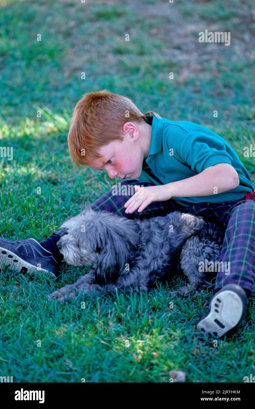 Little boy playing with dog Stock Photo - Alamy