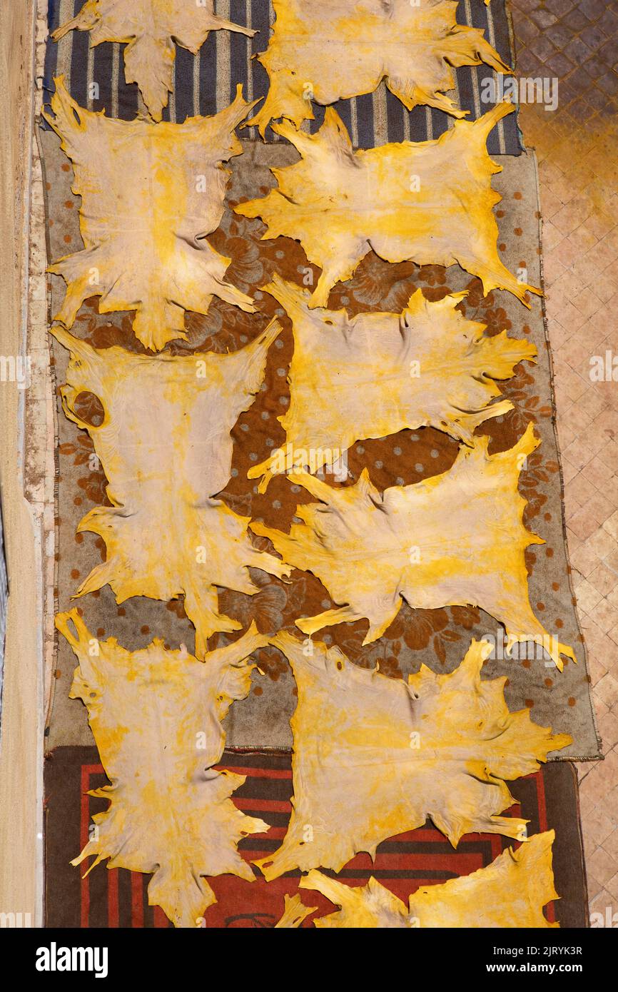 Goatskin tannery hi-res stock photography and images - Alamy