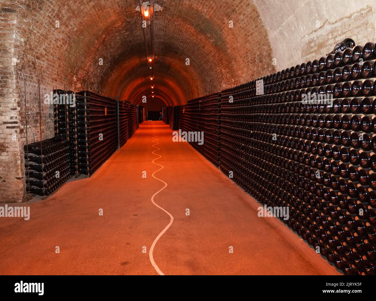 Champagne bottles with stock index card, Ruinart champagne cellar in ...