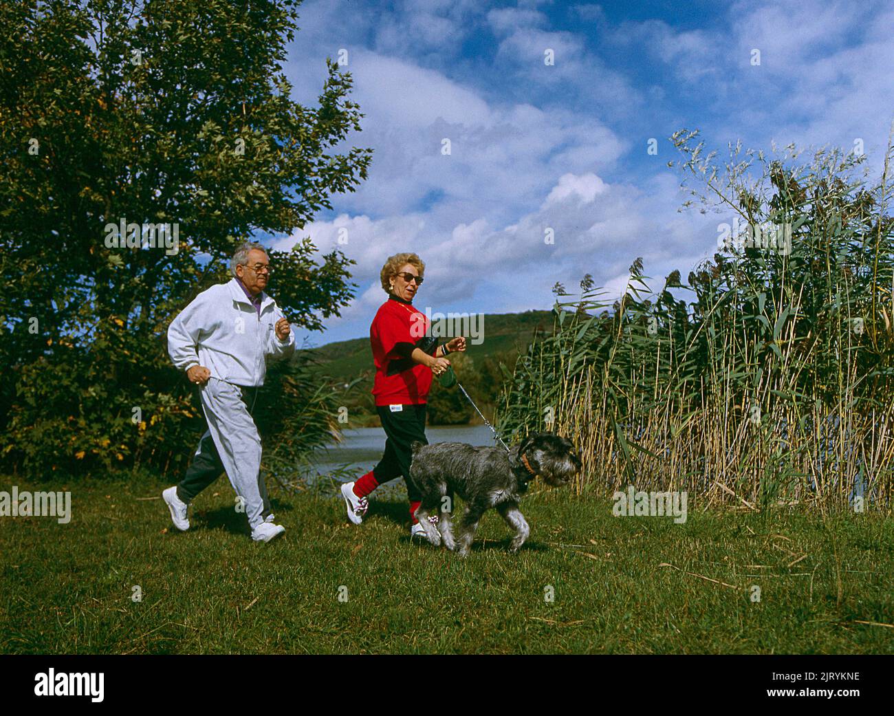 Elderly couple walking with dog Stock Photo - Alamy