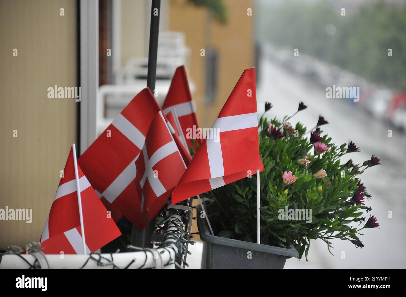 Dniush flags hi-res stock photography and images - Alamy