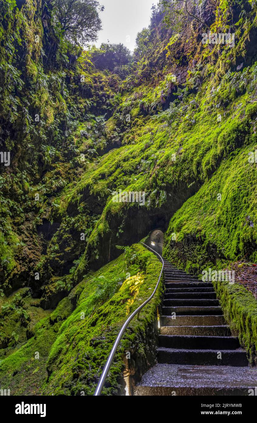 Inside the volcanic vent Algar do carvao Azores Terceira Portugal Stock ...
