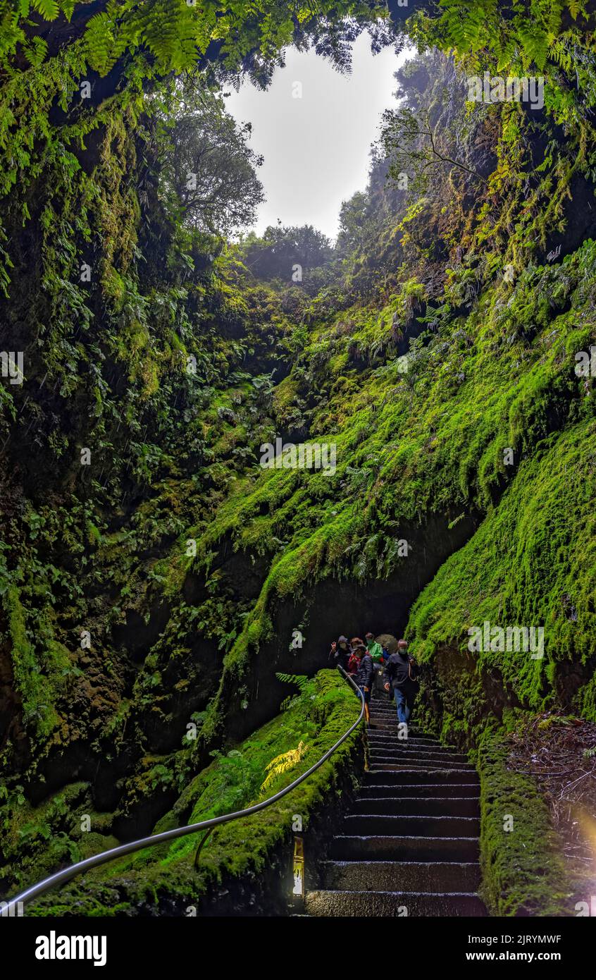 Inside the volcanic vent Algar do carvao Azores Terceira Portugal Stock ...