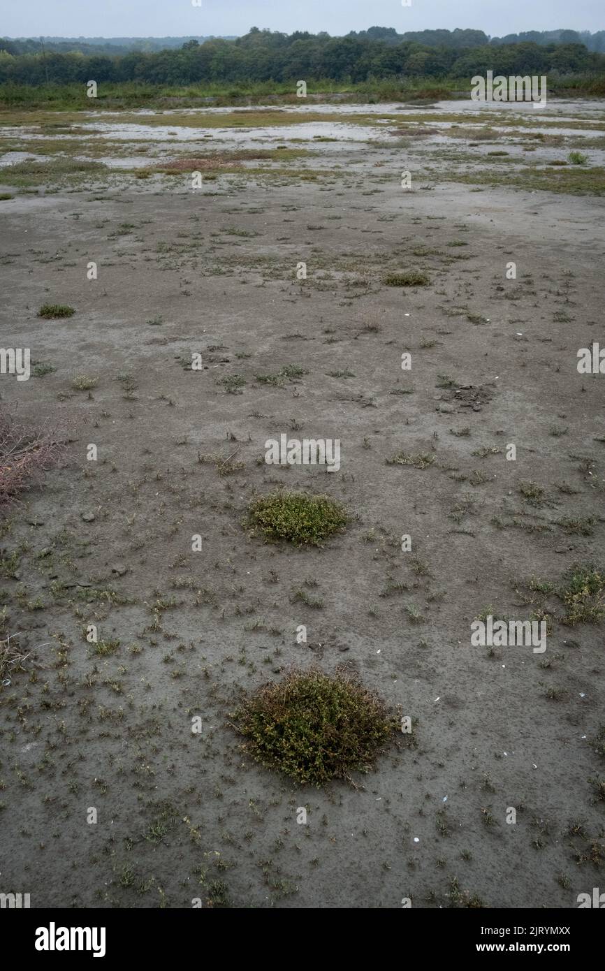 Spraying fertilizer river hi-res stock photography and images - Alamy