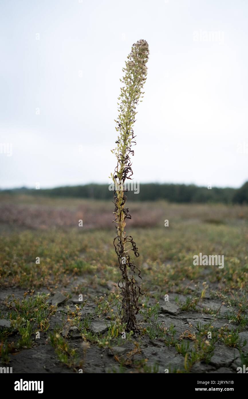Spraying fertilizer river hi-res stock photography and images - Alamy