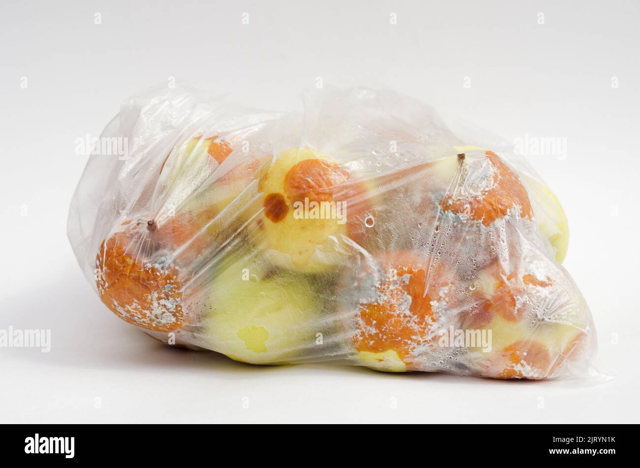 plastic bag with spoiled rotten apples on white background Stock Photo ...