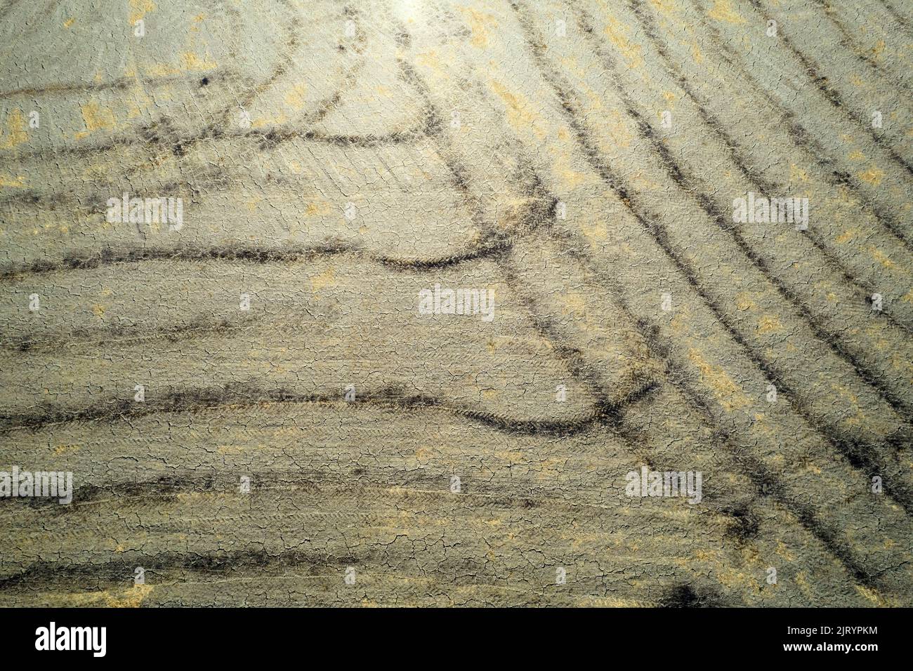 Aerial photographic documentation of the first effects of drought on ...