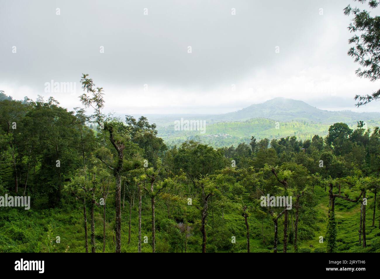 Tourist place to enjoy the scenic beauty of the nature in India. The ...