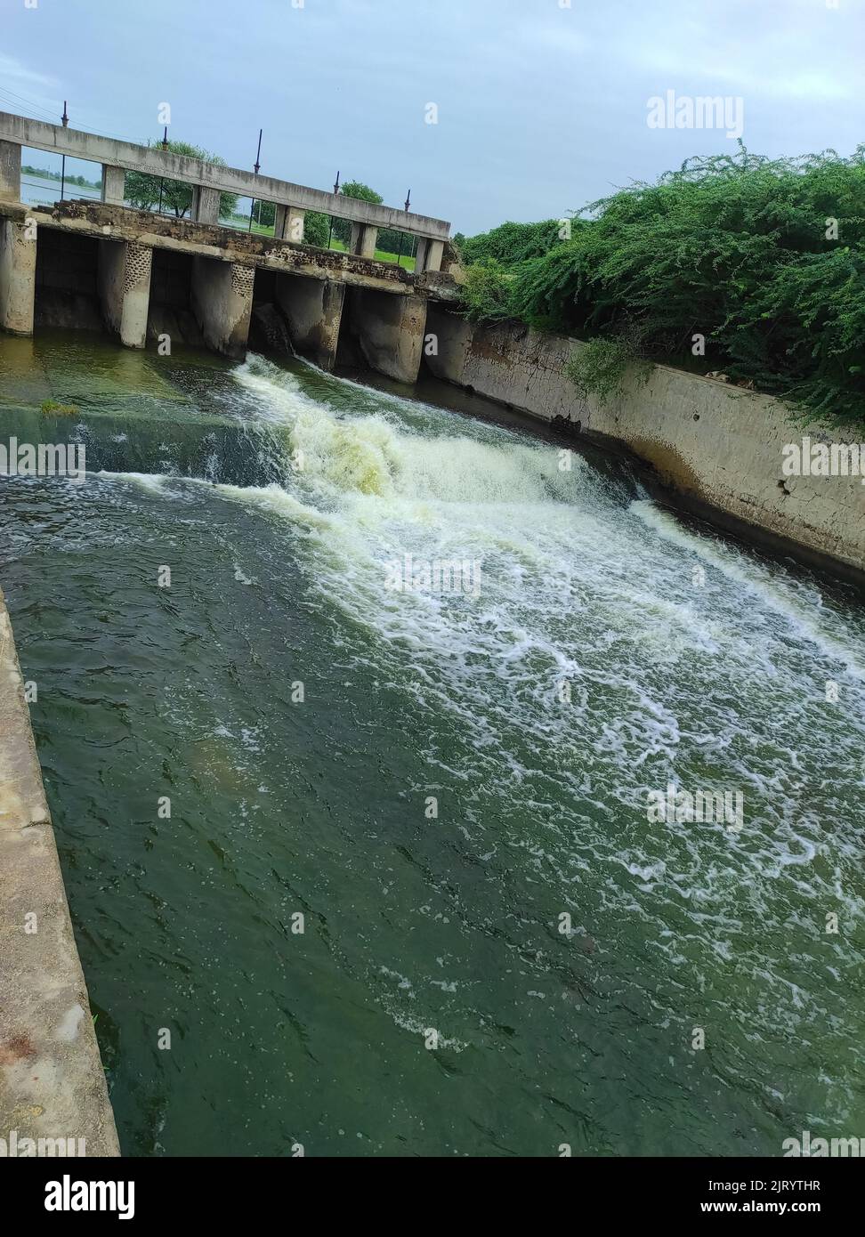 A India Gujarat Ahemdabad Viramgam Thuleta Narmada Canal Walking ...