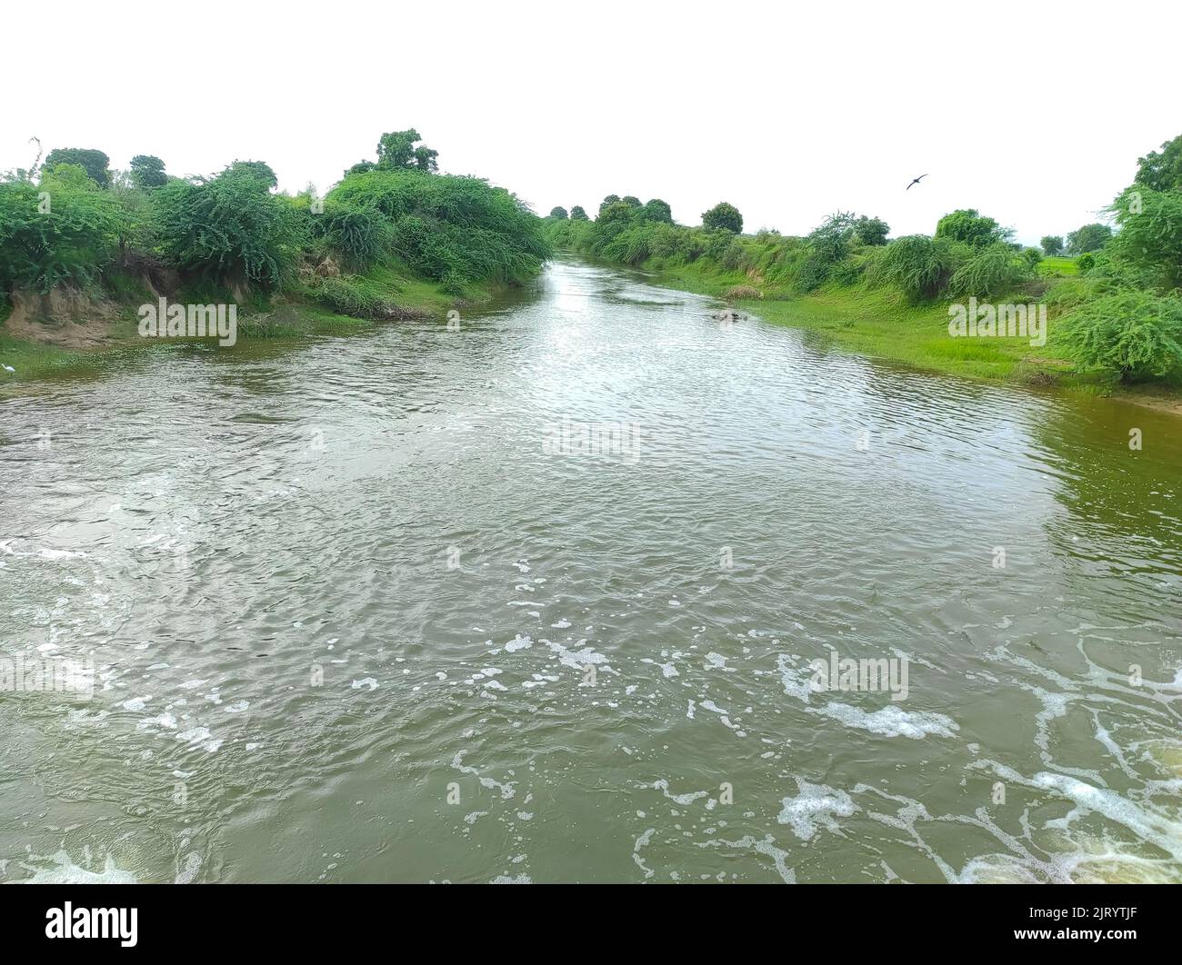 A India Gujarat Ahemdabad Viramgam Thuleta Narmada Canal Walking ...