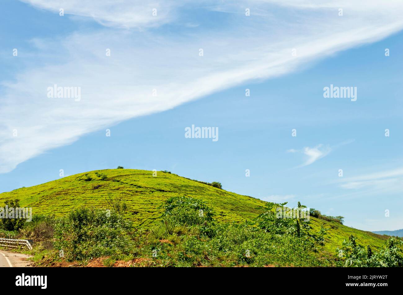 Towering mountains, sprawling tea gardens, terrestrial farming, nature ...