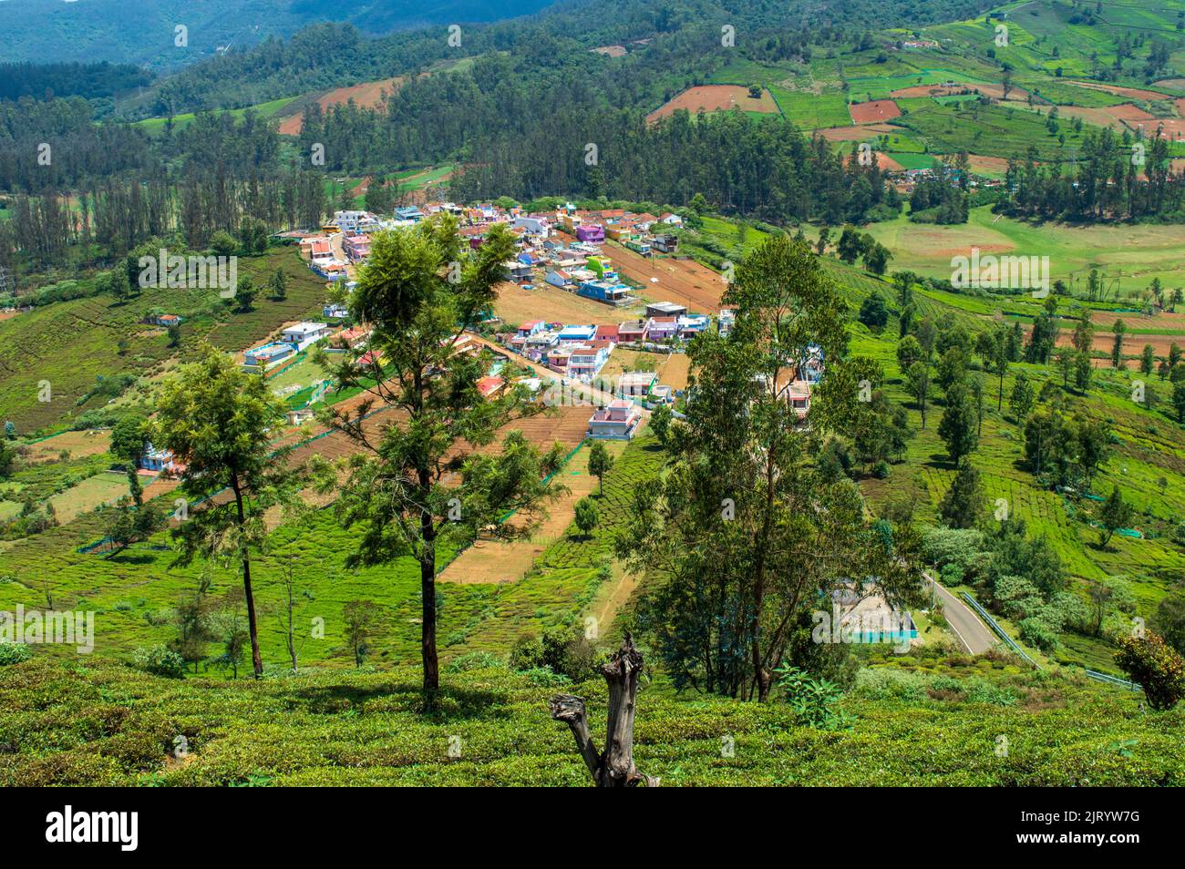 Towering mountains, sprawling tea gardens, nature's gift of greenery ...