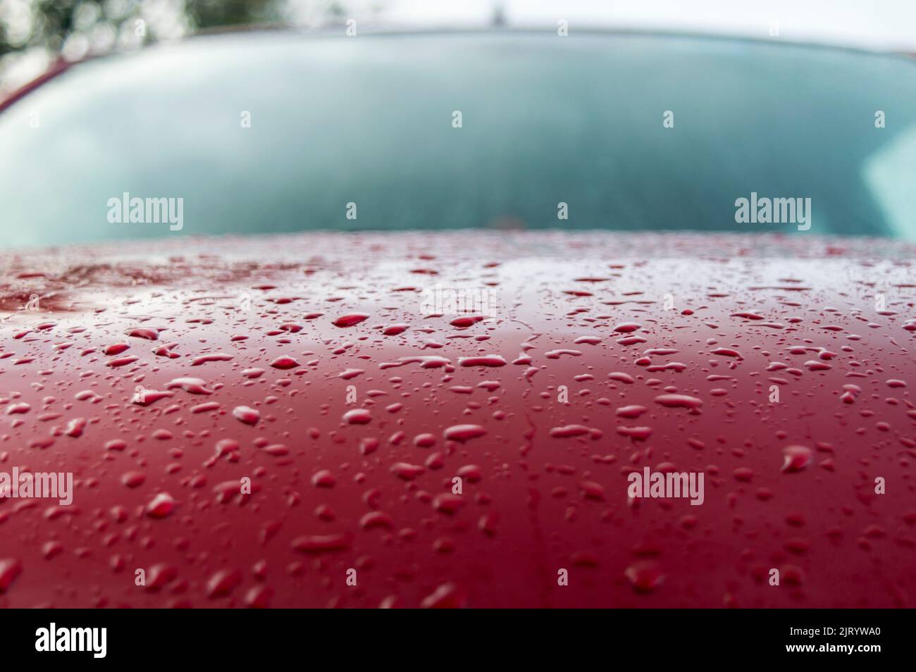 Splashes and water drops on a red car surface forming a beautiful ...