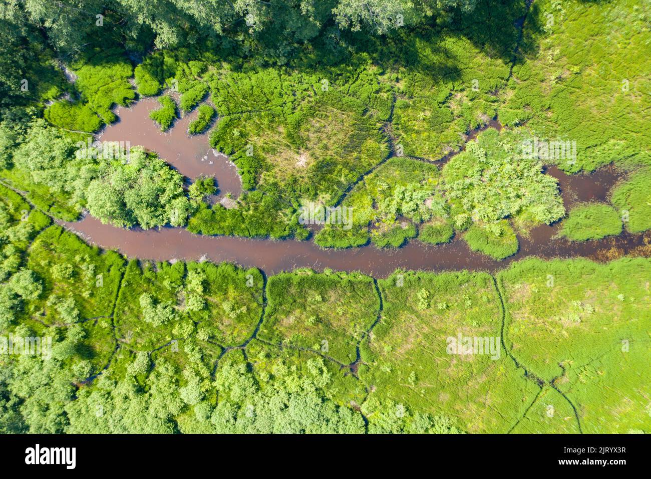 Aerial top down view of green grass and water in marsh wetland Stock ...