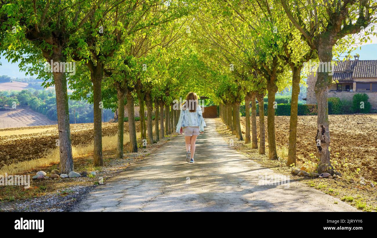 Walk along path among trees hi-res stock photography and images - Alamy