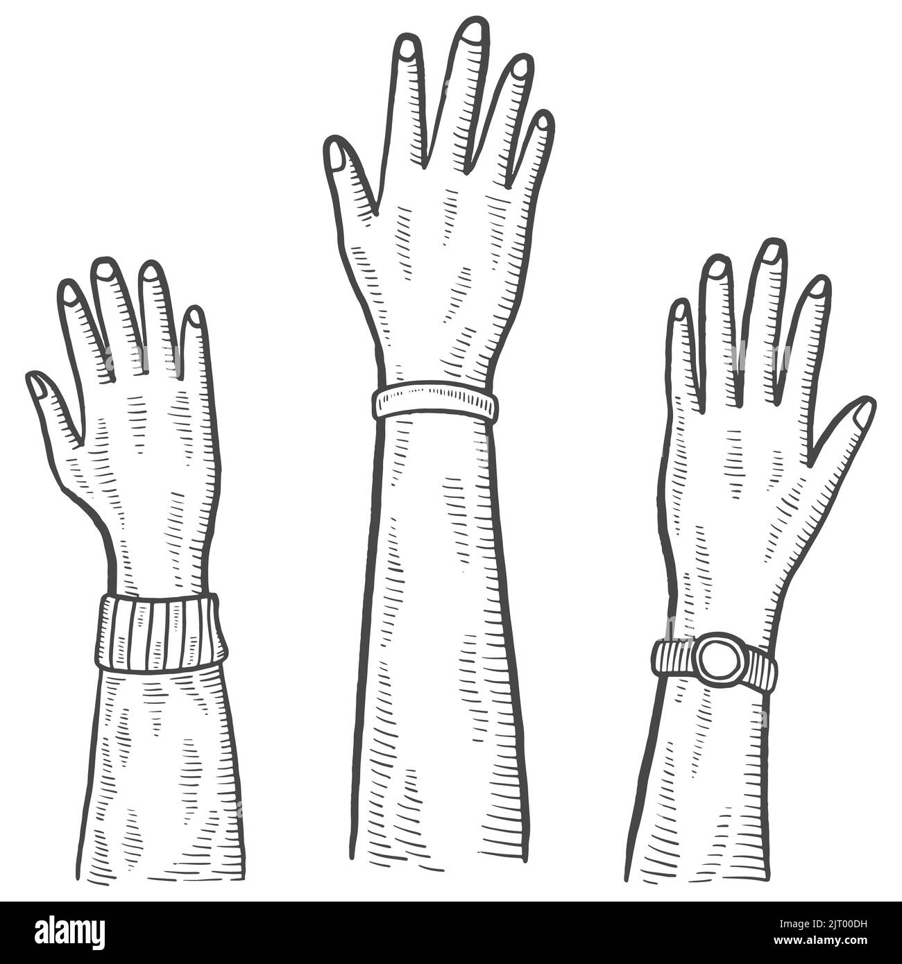 raise hand volunteer charity humanitarian international day isolated ...