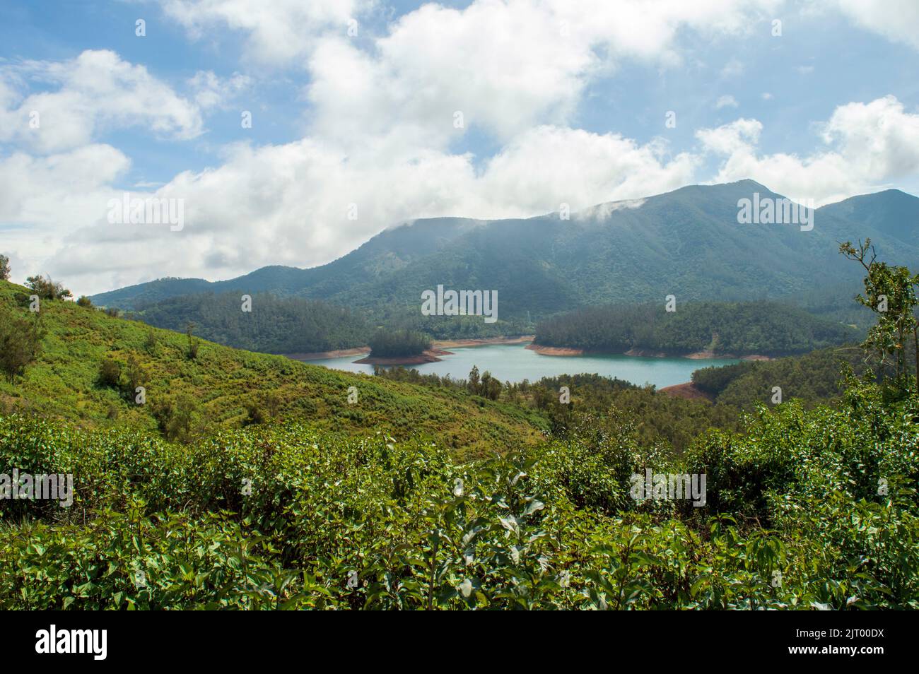 Towering mountains, sprawling tea gardens, rivers, nature's gift of ...