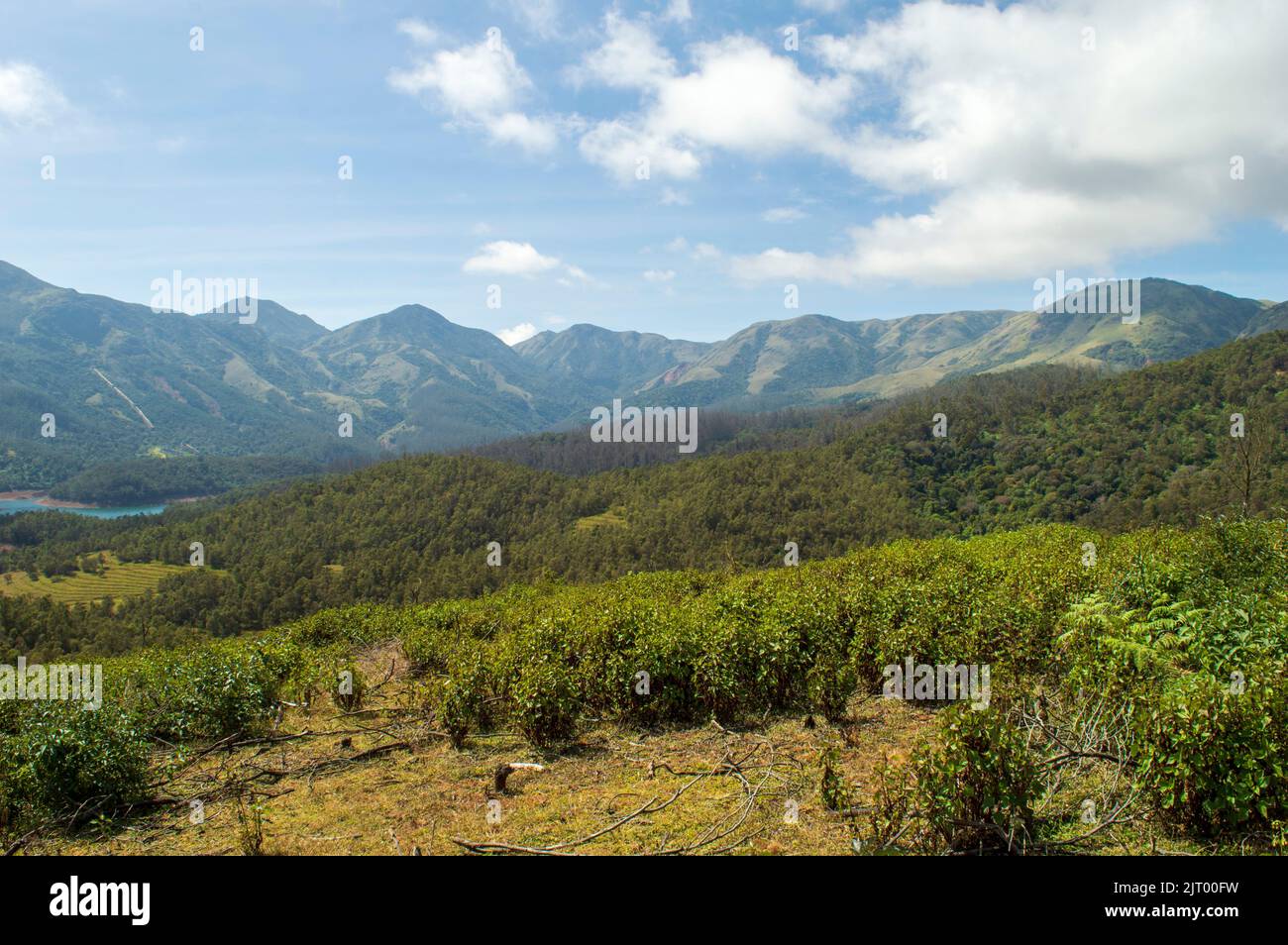 Towering mountains, sprawling tea gardens, rivers, nature's gift of ...