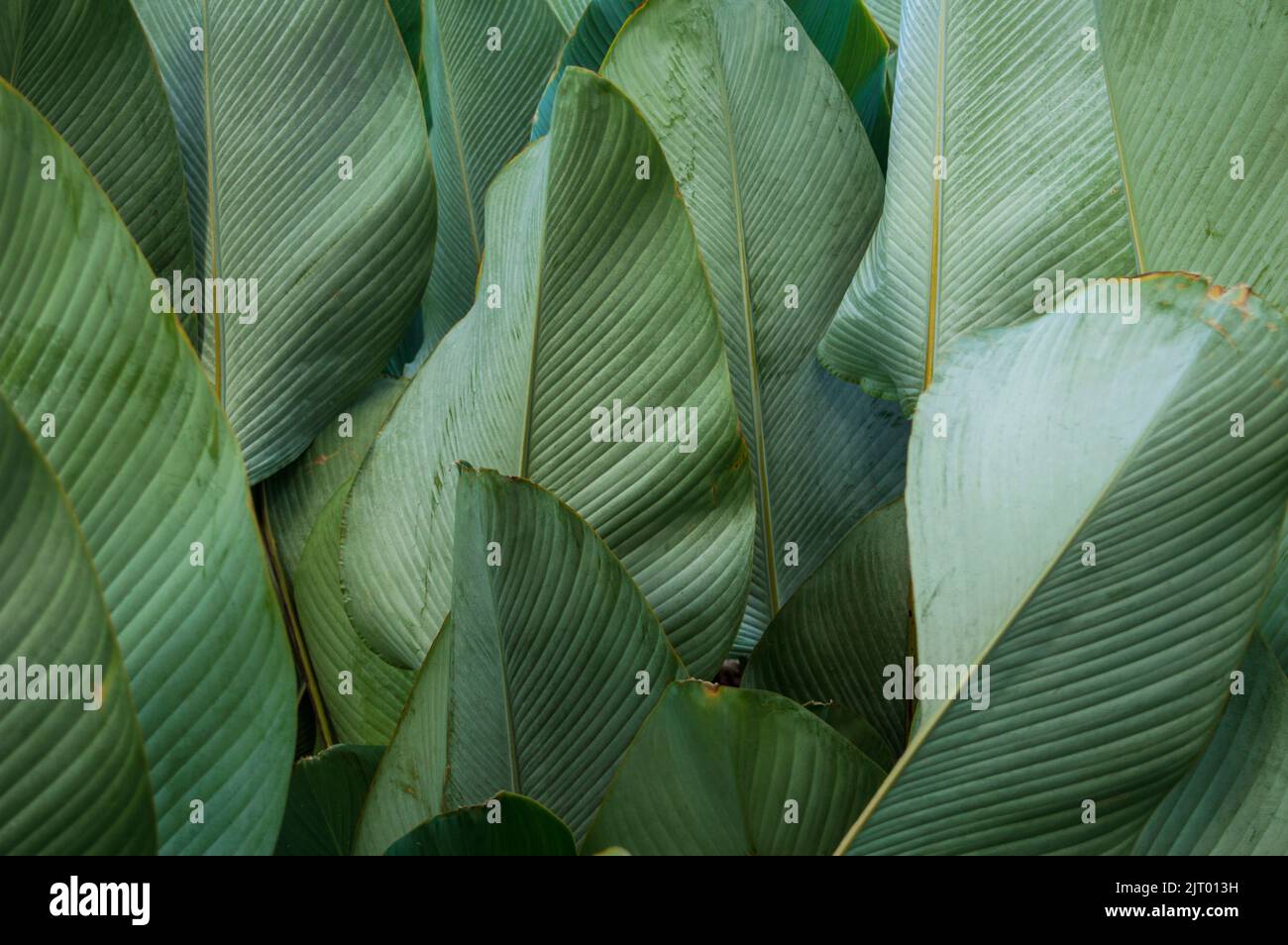 Feel of texture hi-res stock photography and images - Alamy