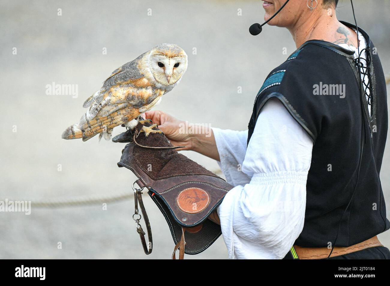 Grimaud, France. 26th Aug, 2022. A master falconer with a barn owl ...
