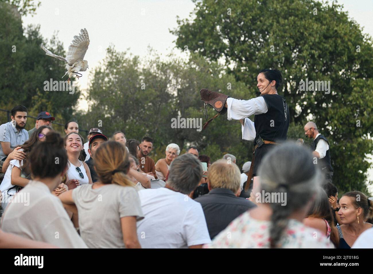 Grimaud, France. 26th Aug, 2022. A master falconer with a barn owl ...