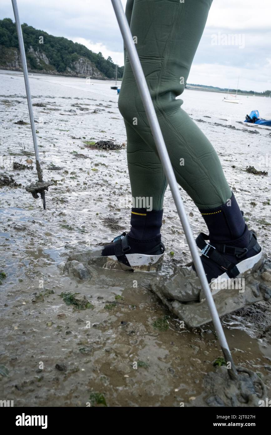 France, Bretagne, Plouer-sur-Rance le 2021-07-28. Reportage au long ...