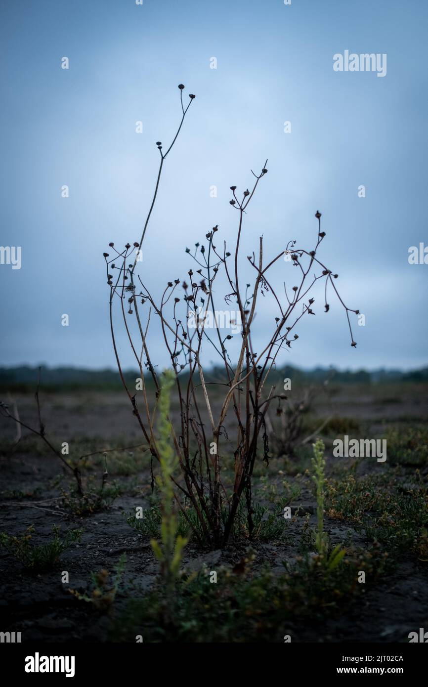 Eptb hi-res stock photography and images - Alamy