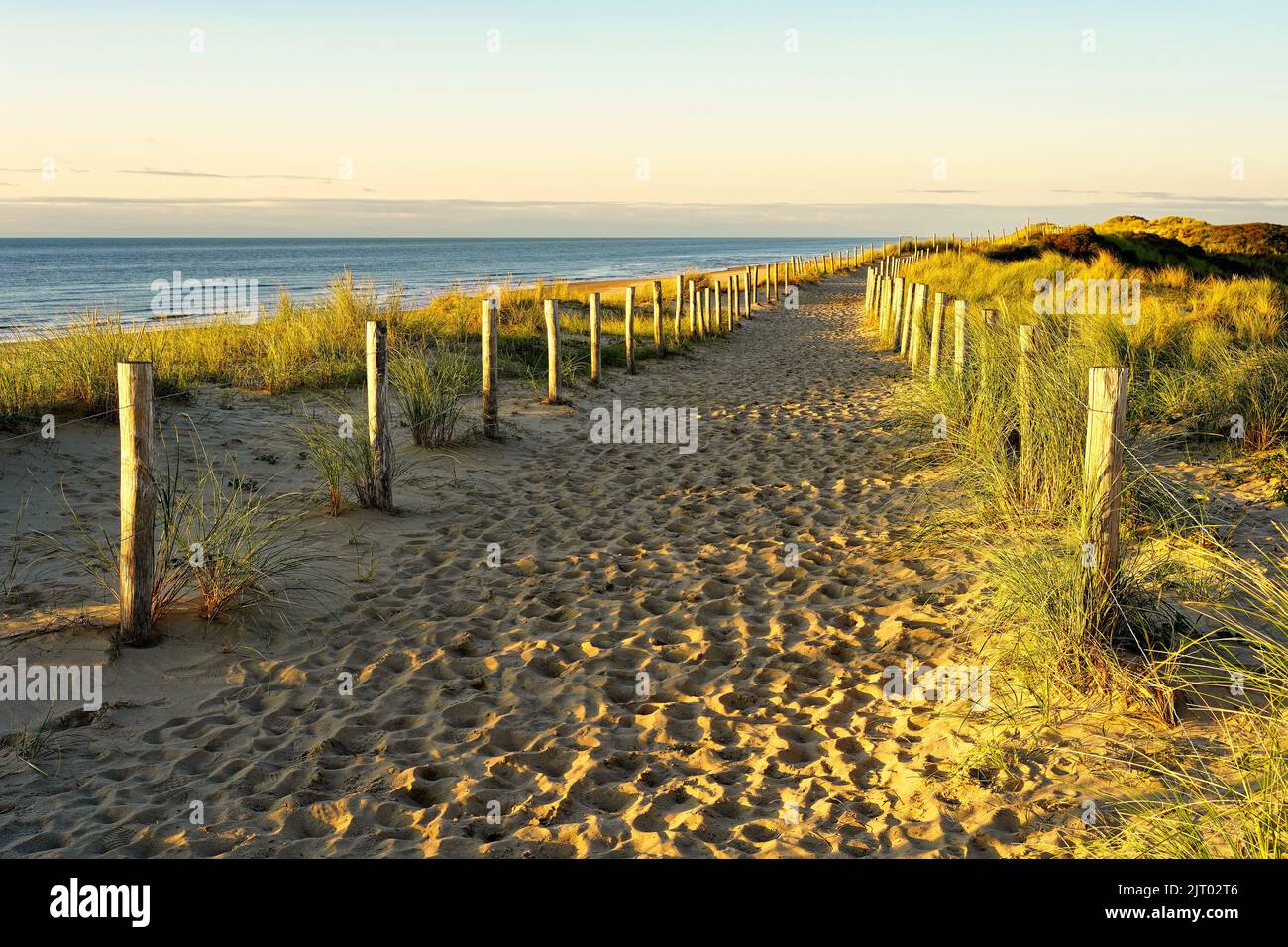 A beautiful sandy path along the ocean. North Holland dune reserve ...