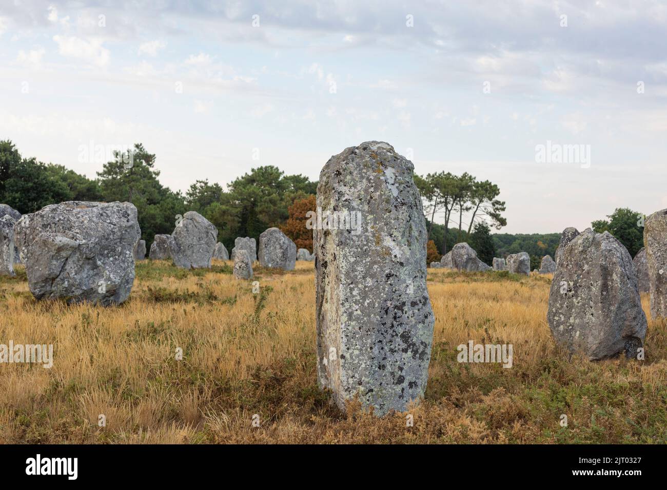 Megalithic menhirs in landscape near Carnac, evening light, Brittany ...