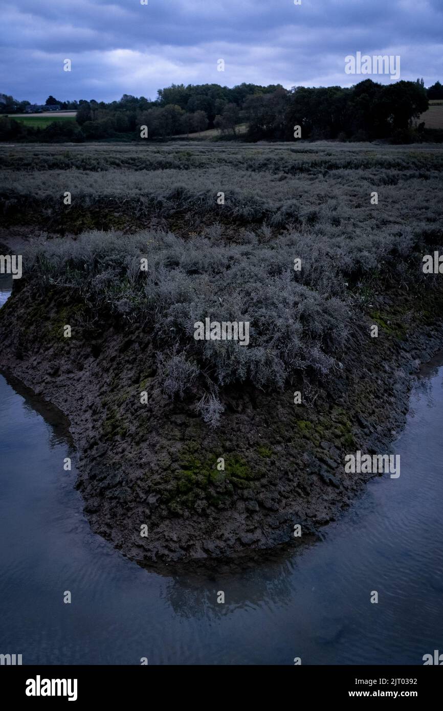France, Brittany, Plouer-sur Rance, 2020-09-27. Long report on the ...