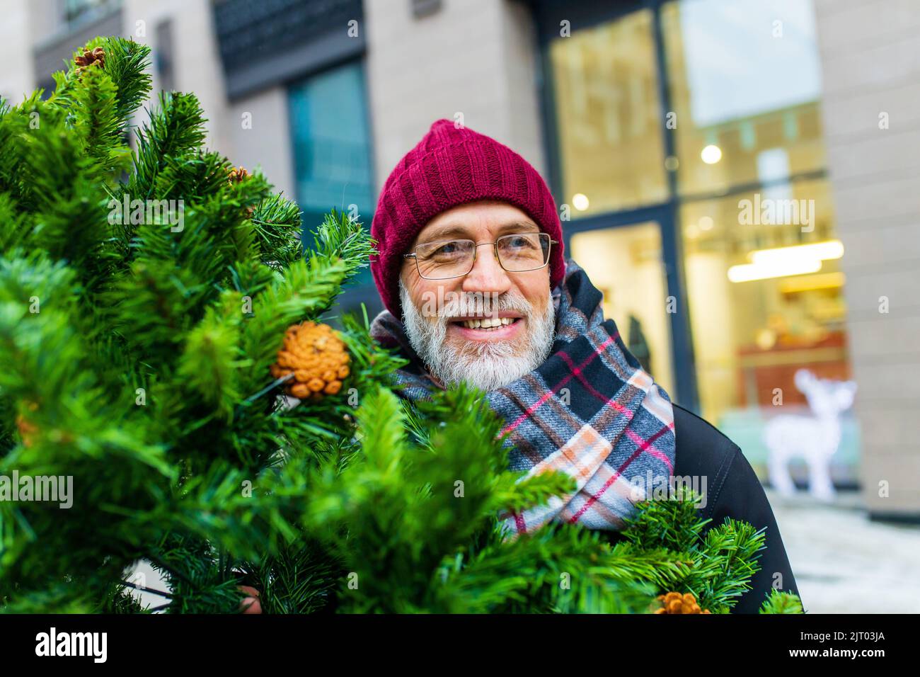 happy retired man walking by street with christmas tree to home from ...