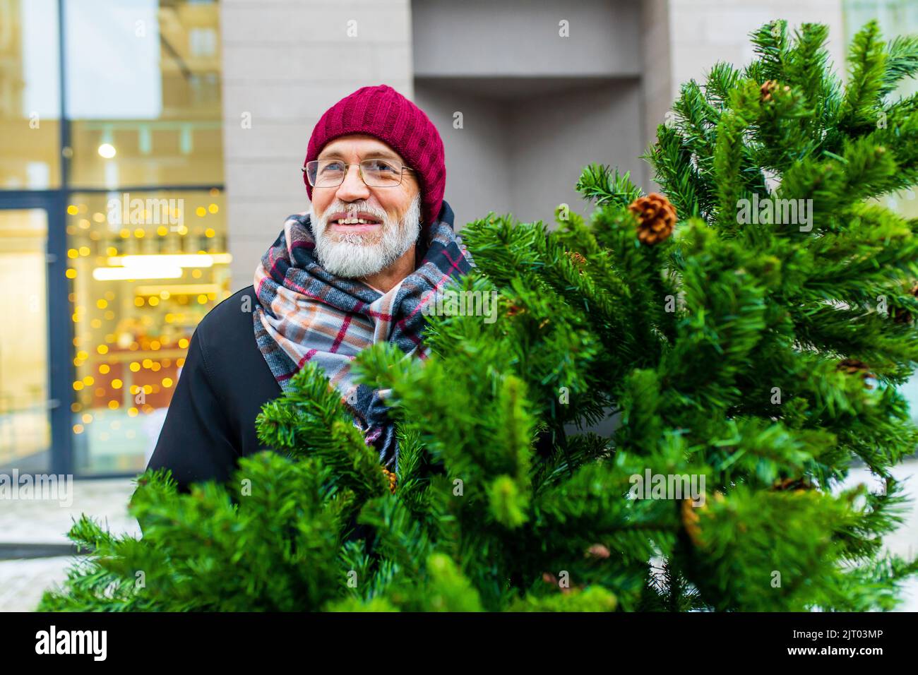happy retired man walking by street with christmas tree to home from ...