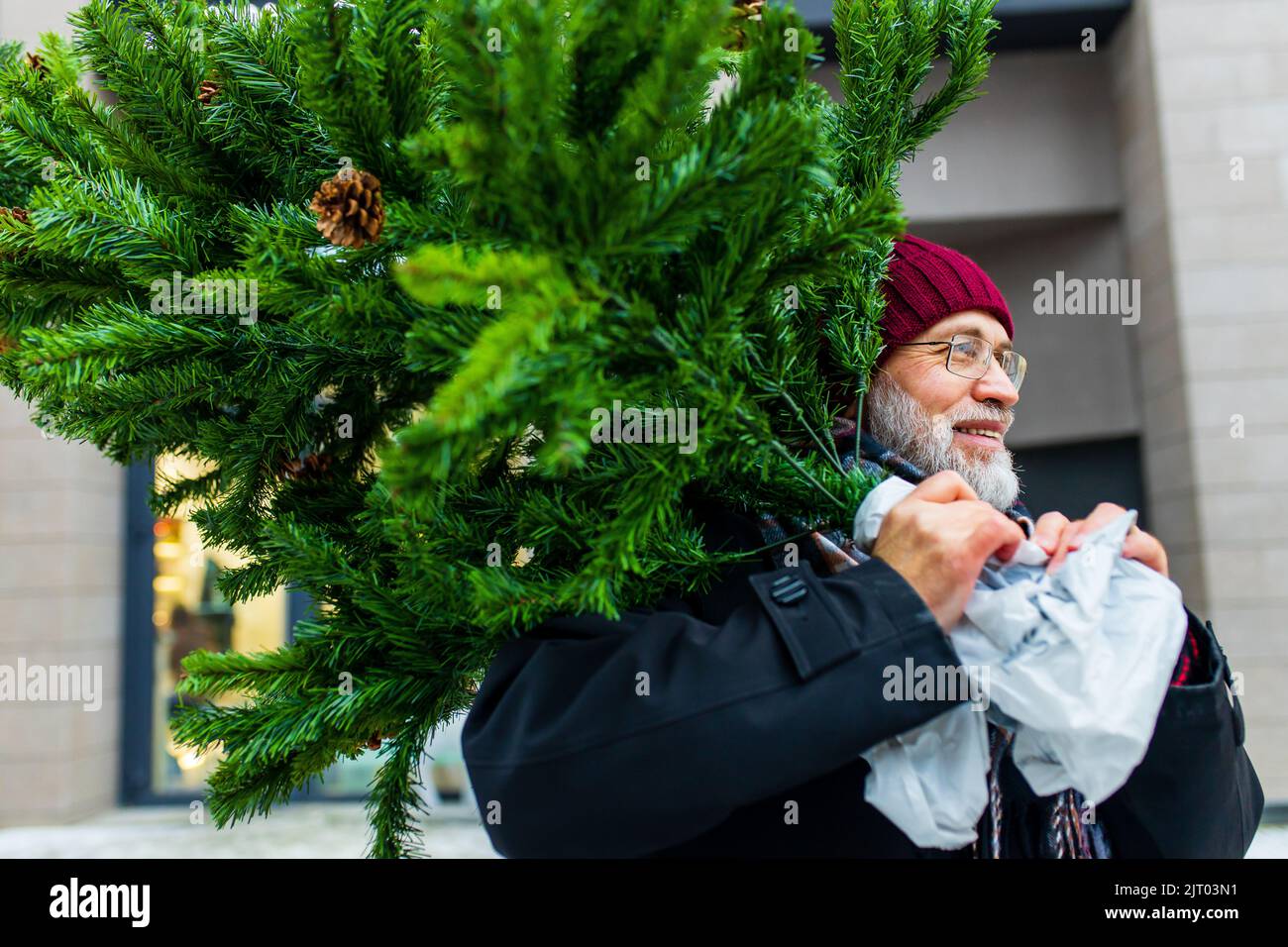 happy retired man walking by street with christmas tree to home from ...