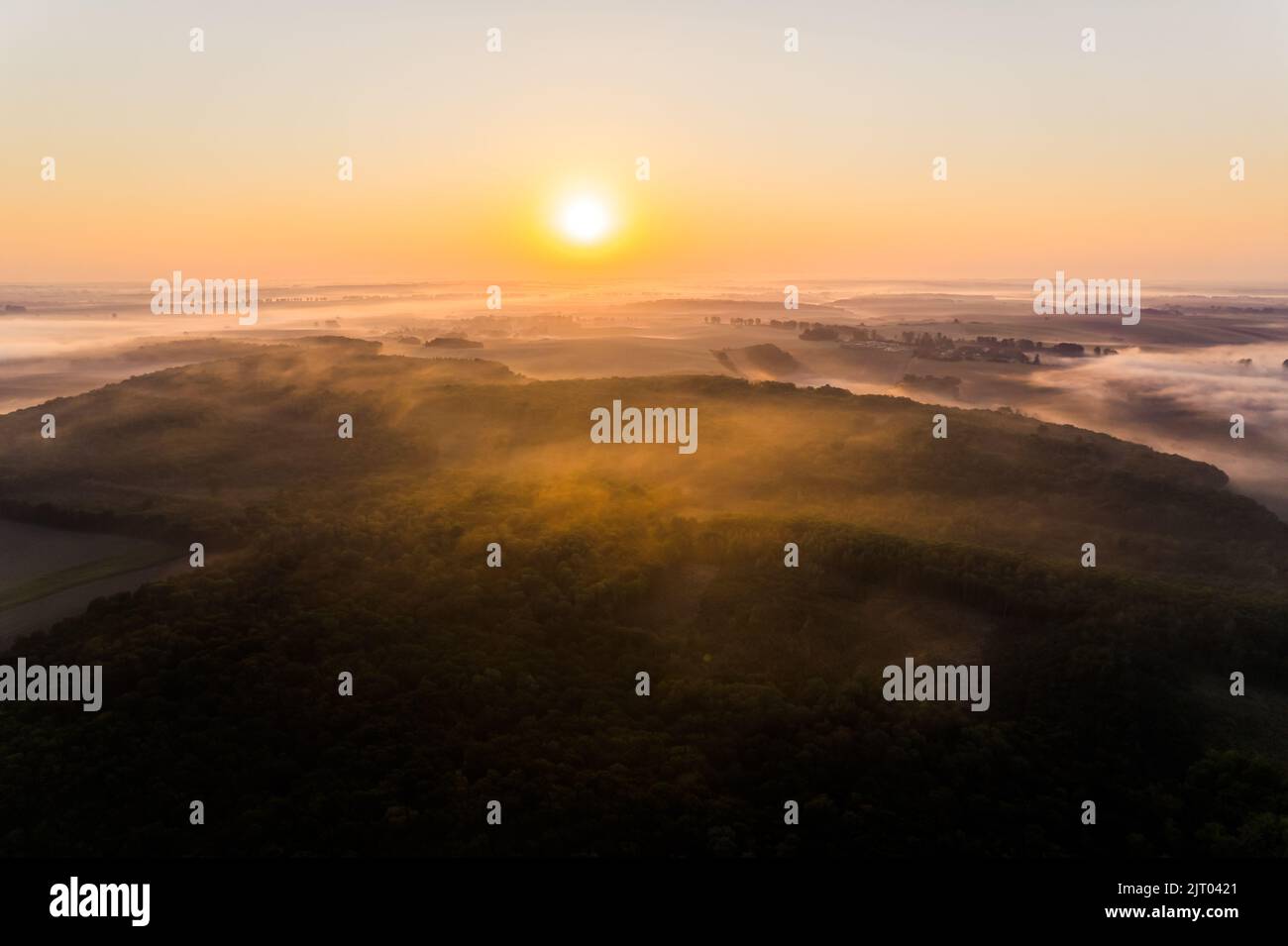 Lush green forest surrounded by farm fields covered by fog with bright ...
