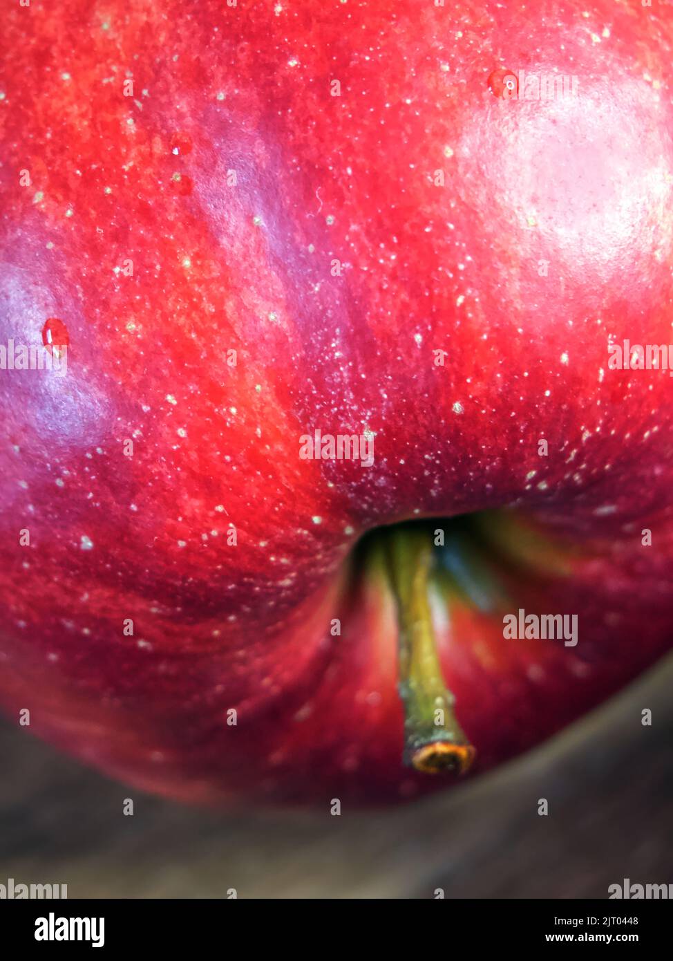 Close-up One large ripe fresh organic apple Stock Photo - Alamy
