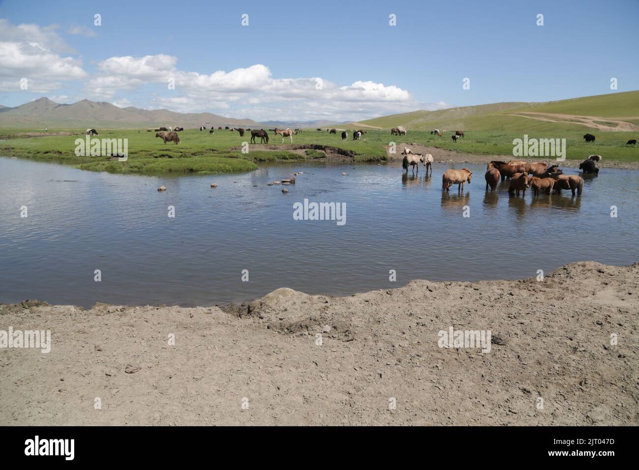 in the land of mongolia the nature and environment Stock Photo - Alamy