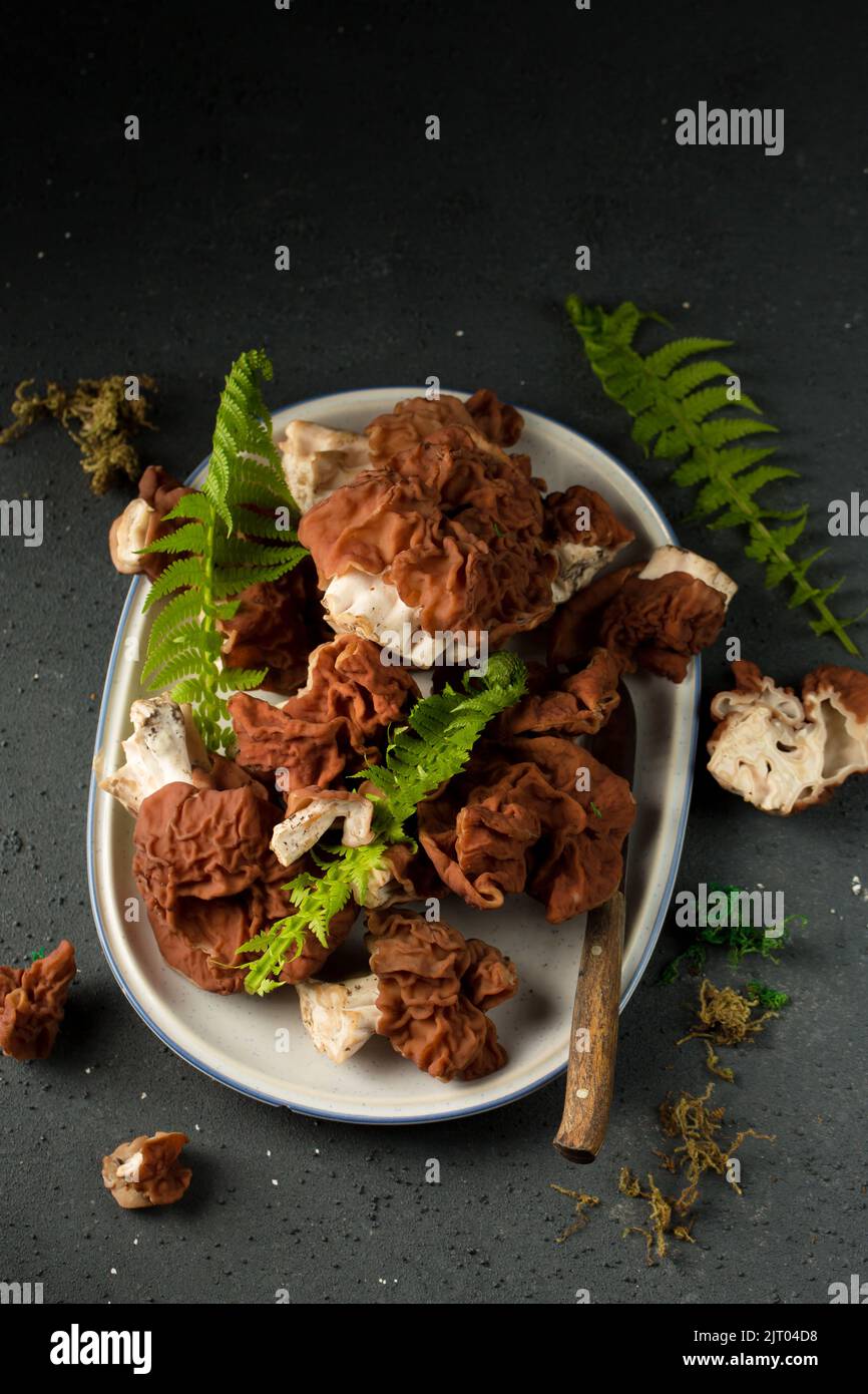 Still life of forest mushrooms on a plate on a gray background Stock ...