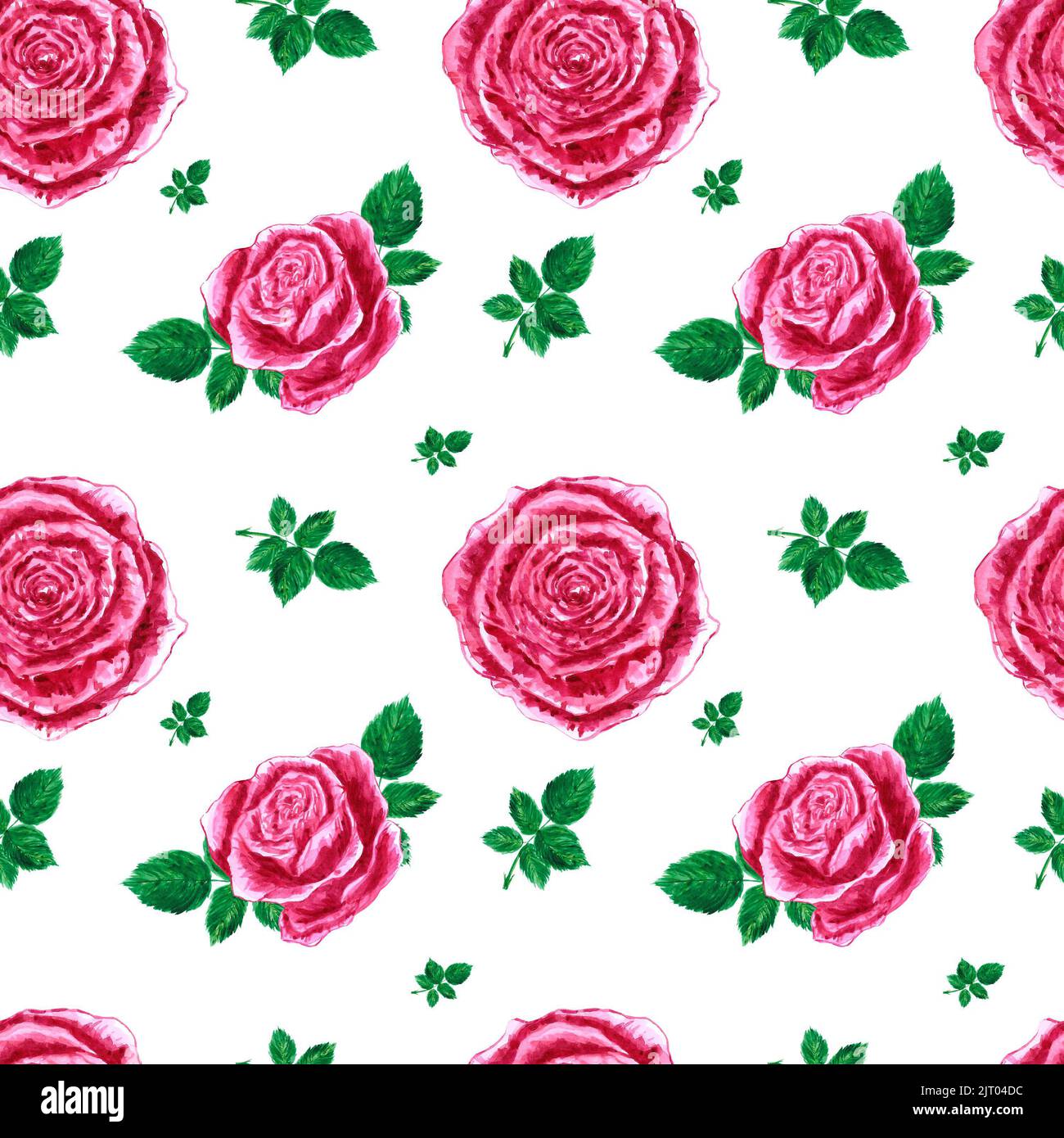 Handdrawn roses seamless pattern. Watercolor pink flowers on the white ...