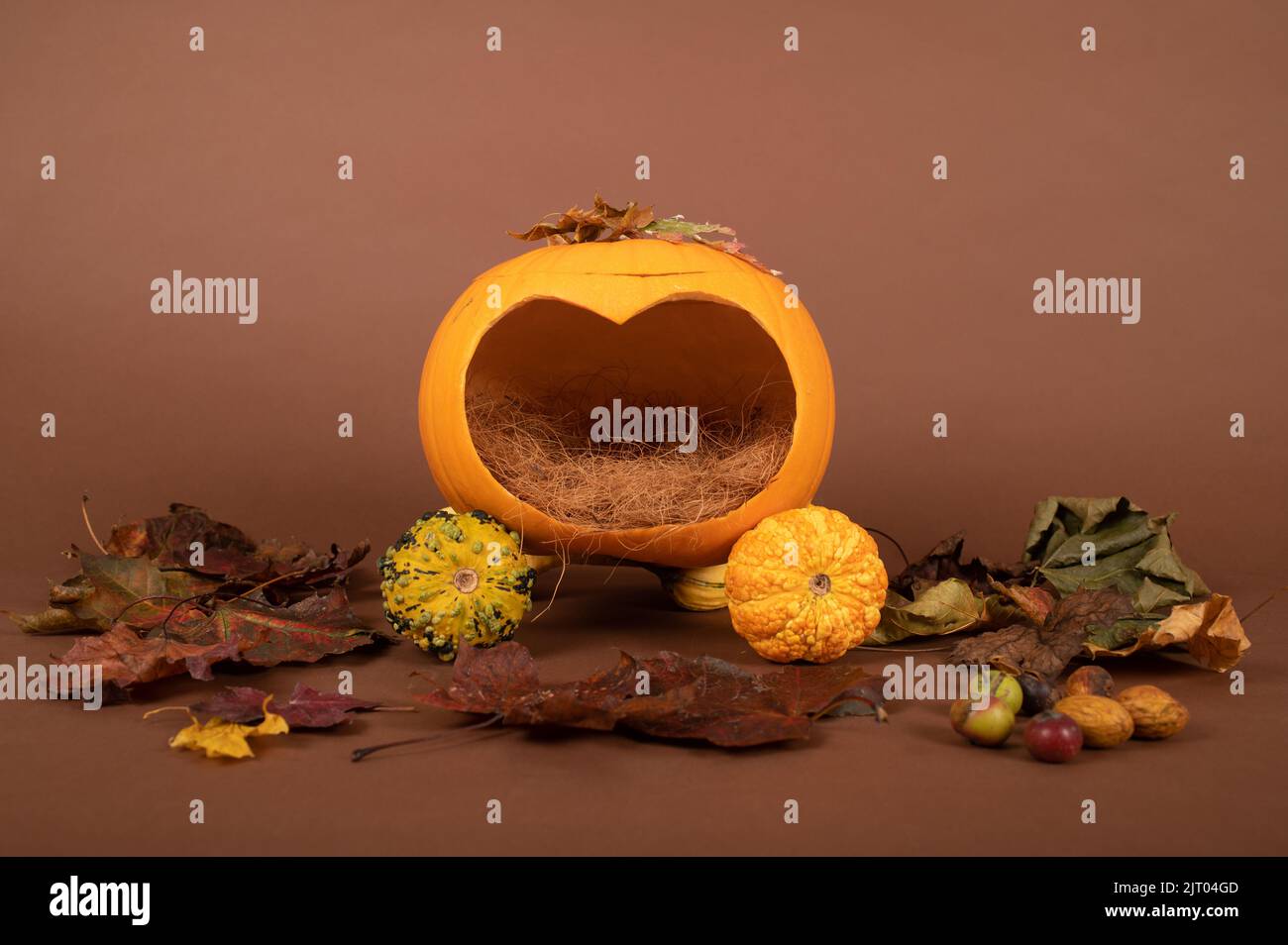 Newborn photography background/backdrop Cinderella pumpkin carriage ...