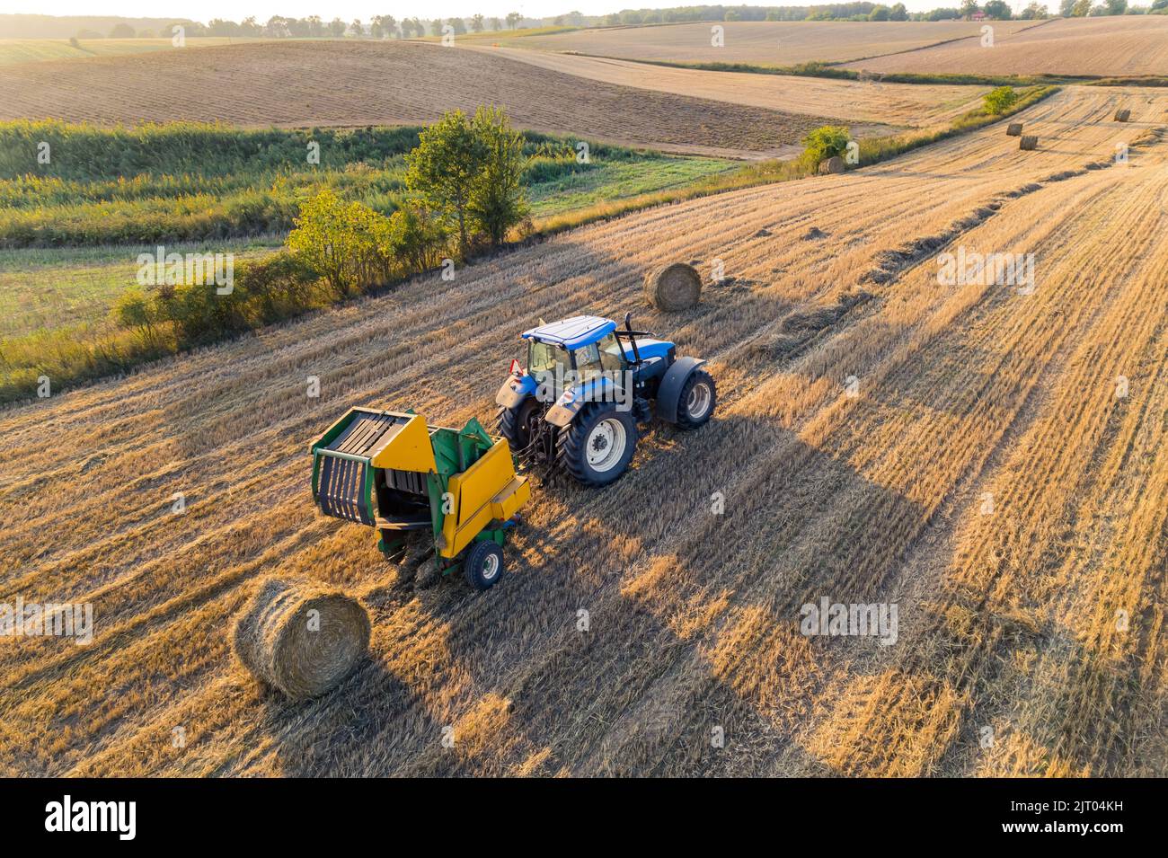 Blue tractor making bales of hay driving through golden field with ...