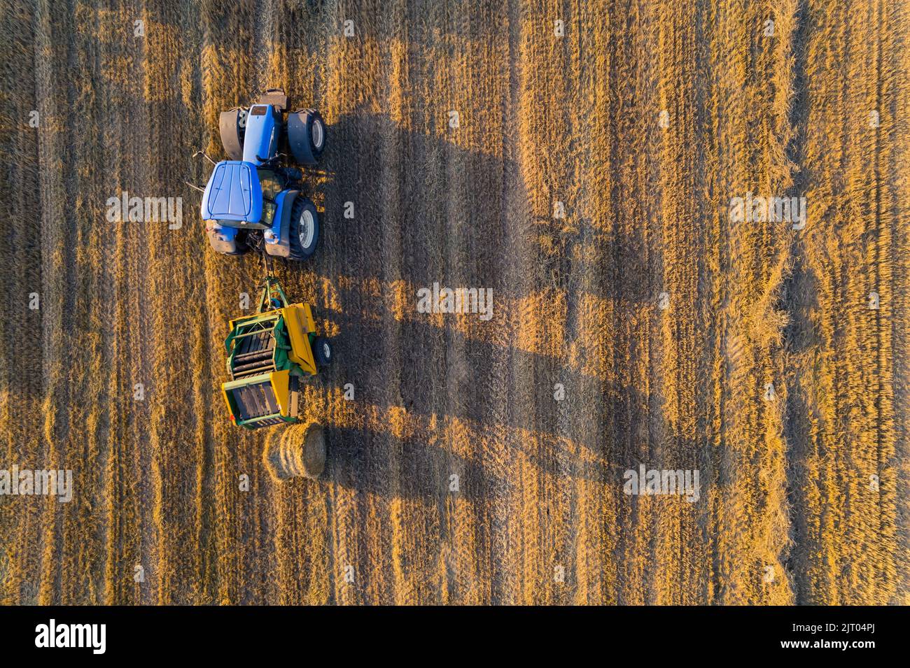 Top-down view of well-lit golden field with blue tractor stacking bales ...