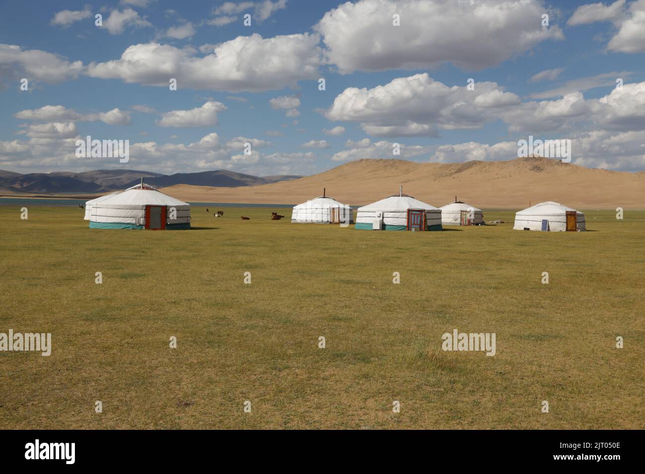 in the land of mongolia the nature and environment Stock Photo - Alamy