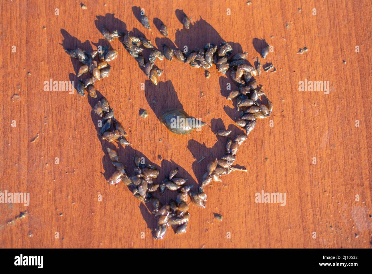 Beautiful heart small sea hi-res stock photography and images - Alamy