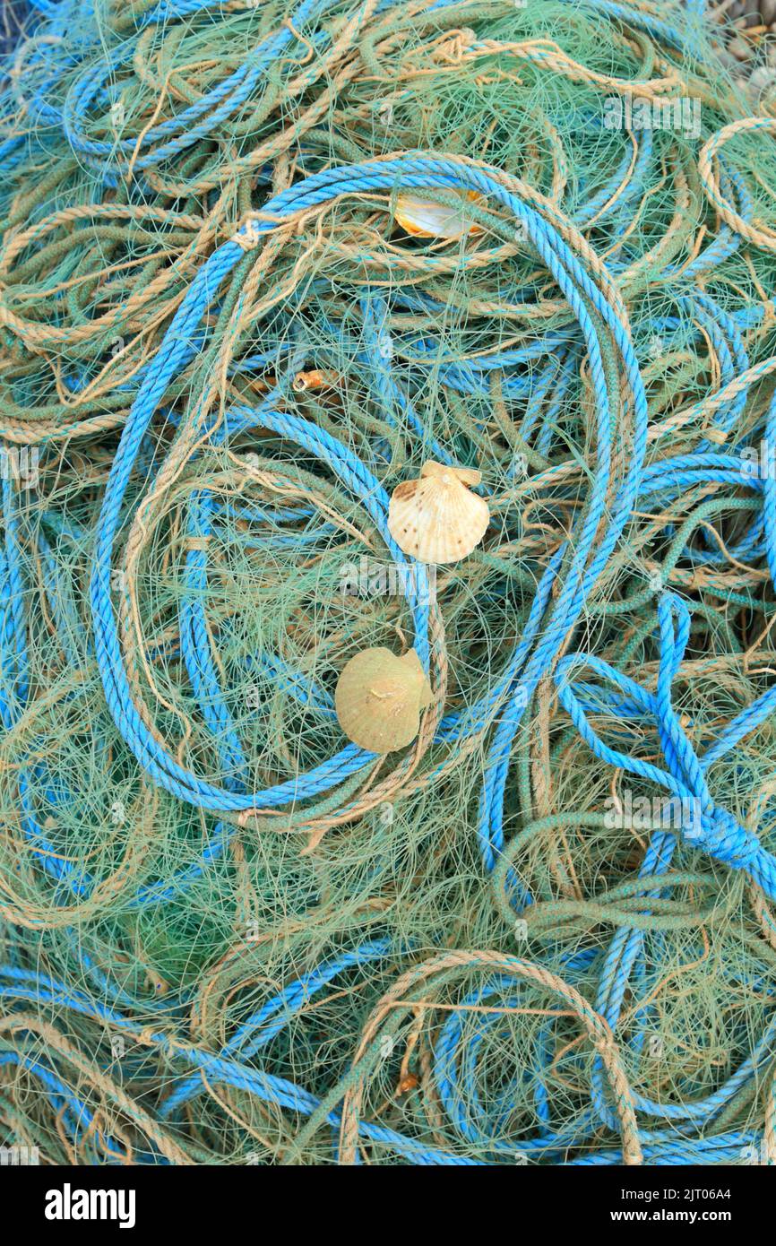 The vertical view of blue and beige threads and sea shells twisted and ...