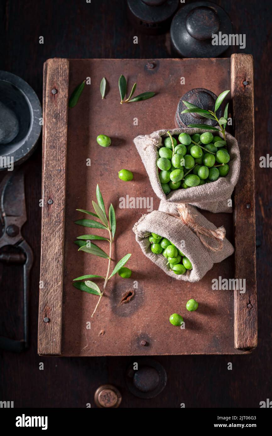 Healthy raw olives with branch and olive berries. Green olives ...