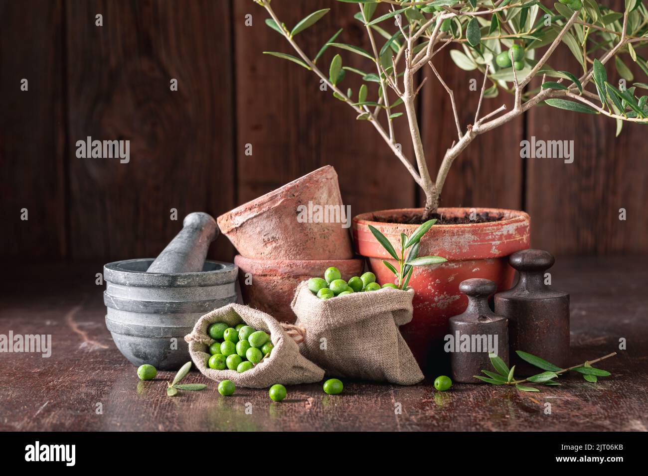 Small raw olives with a twig and mortar. Freshly picked green olives ...