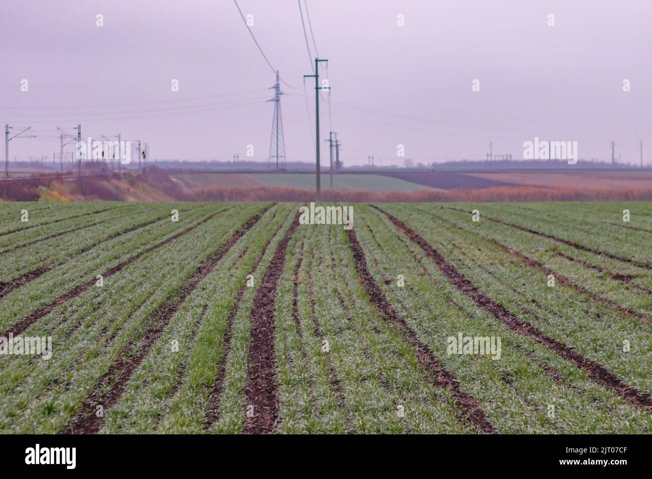 A landscape of fertile agricultural field and electricity cables Stock ...