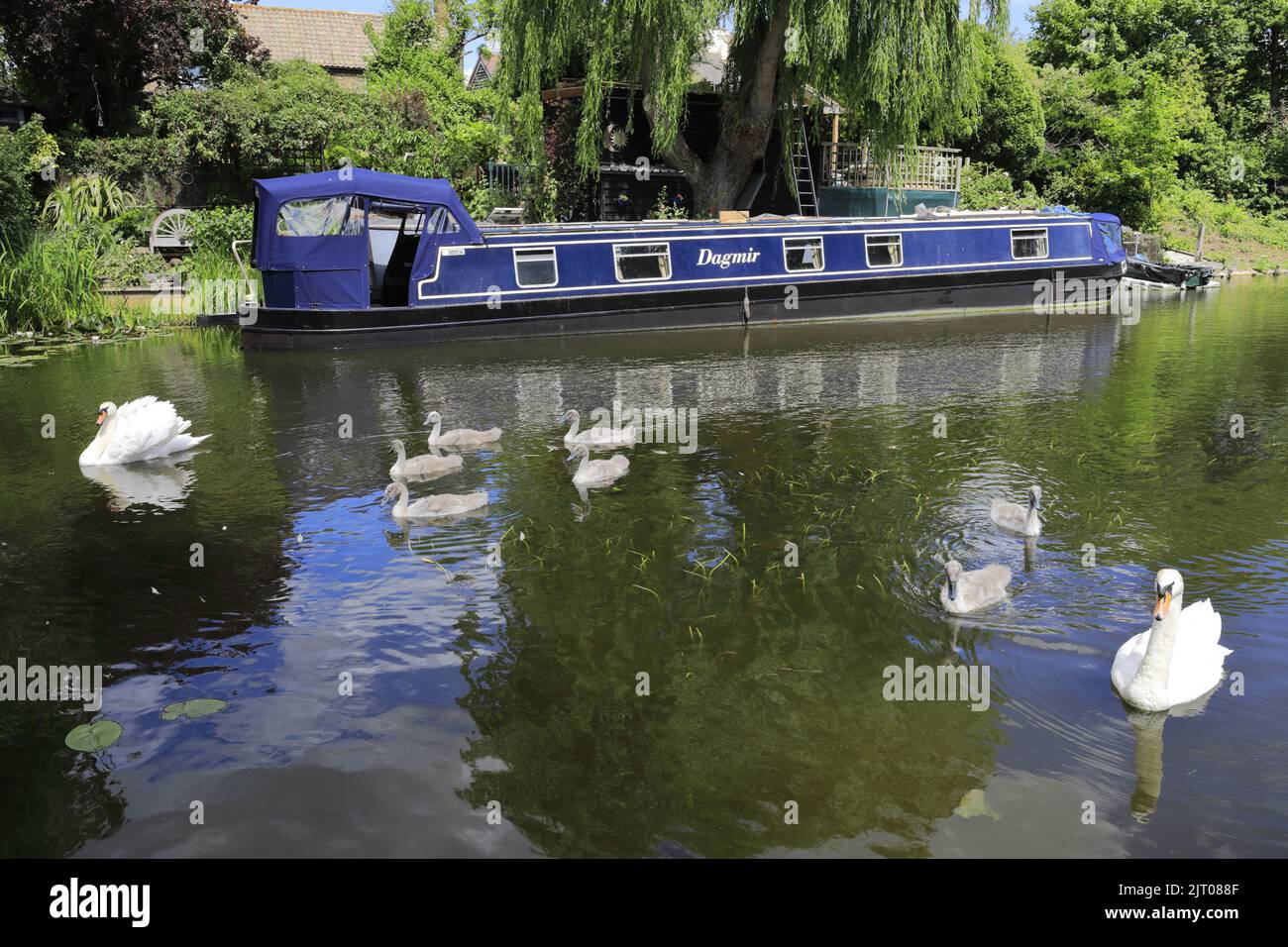 Narrowboats; river Nene; March town; Cambridgeshire; England; UK Stock ...