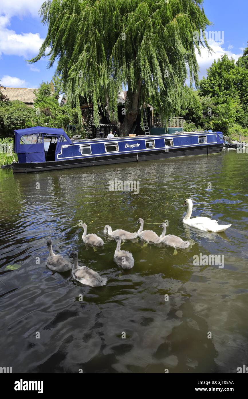 Narrowboats; river Nene; March town; Cambridgeshire; England; UK Stock ...